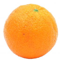 Appelsiner, Økologisk 10 kg | Køb nu for 300kr. hos Frugtmanden.com